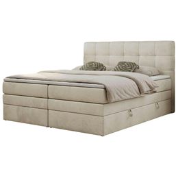 Höffner Boxspringbett mit Bettkasten Luka King beige Maße (cm): B: 140 H: 110 » Höffner