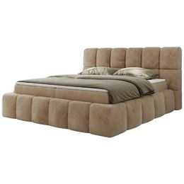 H&ouml;ffner Boxbett mit Bettkasten Nira &brvbar; beige &brvbar; Ma&szlig;e (cm): B: 174 H: 113 &raquo; H&ouml;ffner