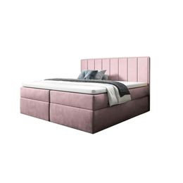 H&ouml;ffner Boxbett mit Bettkasten Havana &brvbar; rosa/pink &brvbar; Ma&szlig;e (cm): B: 120 H: 110 &raquo; H&ouml;ffner