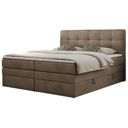 Höffner Boxspringbett mit Bettkasten Luka King braun Maße (cm): B: 180 H: 110 » Höffner