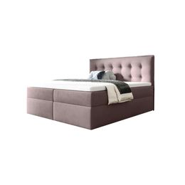 H&ouml;ffner Boxbett mit Bettkasten Focus &brvbar; rosa/pink &brvbar; Ma&szlig;e (cm): B: 140 H: 110 &raquo; H&ouml;ffner