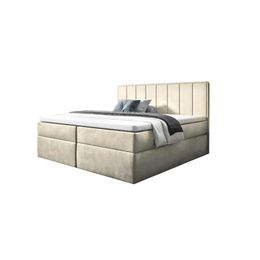 H&ouml;ffner Boxbett mit Bettkasten Havana &brvbar; beige &brvbar; Ma&szlig;e (cm): B: 140 H: 110 &raquo; H&ouml;ffner
