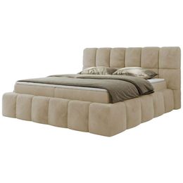 H&ouml;ffner Boxbett mit Bettkasten Nira &brvbar; creme &brvbar; Ma&szlig;e (cm): B: 194 H: 113 &raquo; H&ouml;ffner