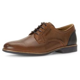 Pius Gabor Schnürschuh, Blockabsatz, Festtagsschuh, Businessschuh G-Weite (=weit) cognac-denim 7 (40,5) 7 (40,5) Eleganter Schnürschuh mit dezenter...