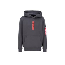 Alpha Industries Hoodie »Alpha Puff Print Hoodie« vintage grey XS XS Brushed Fleece Stoff