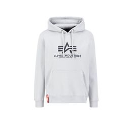 Alpha Industries Hoodie »Basic Hoodie BL Rainbow Refl. Print« pastel grey L L Brushed Fleece Stoff