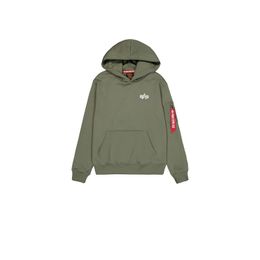 Alpha Industries Hoodie »Signature Backprint Hoodie« sage-green 3XL 3XL Brushed Fleece Stoff