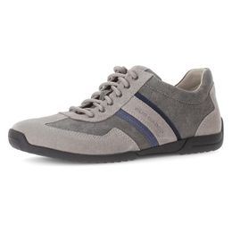 Pius Gabor Sneaker, Freizeitschuh, Halbschuh, Schnürschu mit Logo, Weite G (=weit) grau-grey 7 (40,5) 7 (40,5) Schnürer mit Kontrastbesätzen, Logo...