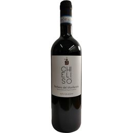 Azienda Vitivinicola Chielis&ograve; del Monferrato Barbera 2023 Trocken - Piemont &ndash; Rotwein DOC