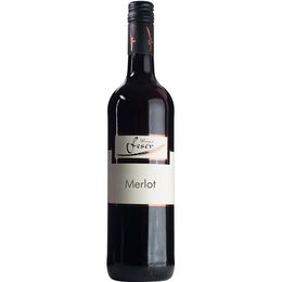Weingut Feser Merlot 2022 Trocken - Binger Bubenst&uuml;ck Rheinhessen &ndash; Rotwein Qualit&auml;tswein