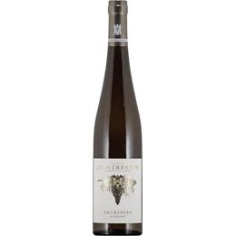 Weingut Dr. Wehrheim hsberg Riesling 2023 Trocken - Pfalz &ndash; Wei&szlig;wein VDP.Erste Lage