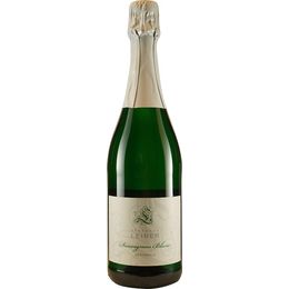 Rebenhof Leiner brut Sauvignon Blanc 2023 Brut - Ilbesheimer Rittersberg Pfalz &ndash; Perl- & Schaumwein Sekt