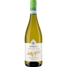 Vignamato Terra delle Lame Verdicchio dei Castelli di Jesi Classico Bianco 2024 Trocken - Marken &ndash; Wei&szlig;wein DOC