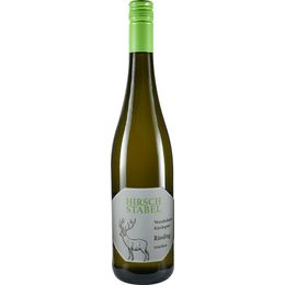 Weingut Hirsch-Stabel Riesling 2024 Trocken - Rheinhessen – Weißwein Qualitätswein