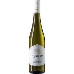 Weingut Spielauer Gr&uuml;ner Veltliner Sch&ouml;nberg 2025 Trocken - Kamptal DAC &ndash; Wei&szlig;wein Qualit&auml;tswein
