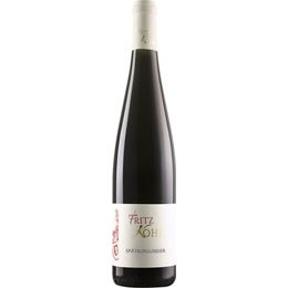 Weingut Fritz Kohl Sp&auml;tburgunder Blauer 2022 Lieblich - Pfalz &ndash; Rotwein Qualit&auml;tswein