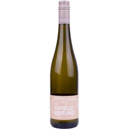 Weingut Arndt Schnabel ,,Kapelle" Riesling 2022 Trocken - Rheinhessen &ndash; Wei&szlig;wein Qualit&auml;tswein