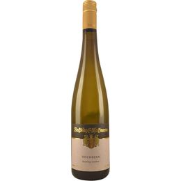 Weingut Ra&szlig;kopf-Hofmann Weingut Ra&szlig;kopf-Hofmann HOCHBENN Riesling 2023 Trocken - D&uuml;rkheimer Hochbenn Pfalz &ndash; Wei&szlig;wein Qualit&auml;tswein