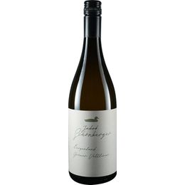 Weingut Sch&ouml;nberger Burgenland Gr&uuml;ner Veltliner 2024 Trocken - &ndash; Wei&szlig;wein Qualit&auml;tswein