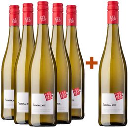 Weingut Baldauf 5+1 Paket Frank & Frei "Komma, Nix" alkoholfrei Cuv&eacute;e - Franken &ndash; Probierpaket Entalkoholisierter Wein
