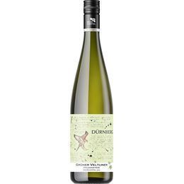 weingut d&uuml;rnberg Weingut D&uuml;rnberg Falkenstein Weinviertel DAC, Gr&uuml;ner Veltliner 2024 Trocken - DAC &ndash; Wei&szlig;wein Qualit&auml;tswein