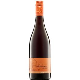 Weingut Dohlm&uuml;hle Weingut Dohlm&uuml;hle Sp&auml;tburgunder 2024 Halbtrocken - Rheinhessen &ndash; Rotwein Qualit&auml;tswein