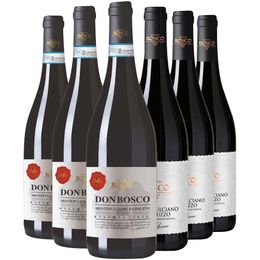Nestore Bosco Kennenlern-Paket Montepulciano Trocken - Abruzzen &ndash; Probierpaket DOC