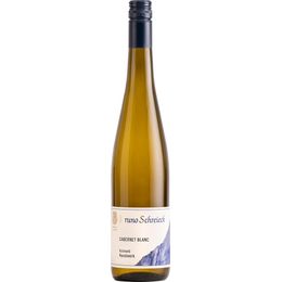 Weingut Bruno Schreieck Cabernet Blanc 2023 Trocken - Hambacher Schlossberg Pfalz &ndash; Wei&szlig;wein Qualit&auml;tswein