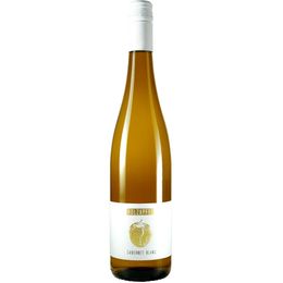 Weingut Holzapfel Cabernet Blanc 2023 Feinherb - W&uuml;rttemberg &ndash; Wei&szlig;wein Qualit&auml;tswein