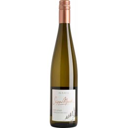 Sipp Mack Sylvaner Vieilles Vignes Alsace Silvaner 2023 Trocken - Elsass &ndash; Wei&szlig;wein AOP