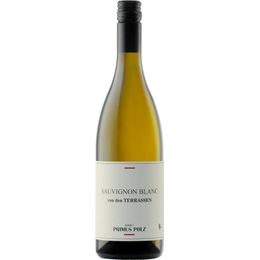 PRIMUS von den TERRASSEN - Slowenien Sauvignon Blanc 2024 Steiermark &ndash; Wei&szlig;wein Qualit&auml;tswein