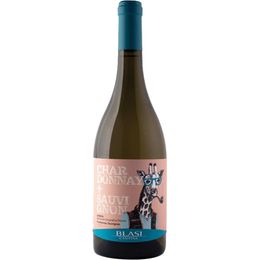Blasi Cantina Chardonnay & Sauvignon Umbria Cuv&eacute;e 2024 Trocken - Umbrien &ndash; Wei&szlig;wein IGP