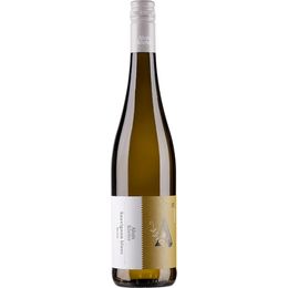 Aloisiushof Sauvignon Blanc 2025 Trocken - Pfalz &ndash; Wei&szlig;wein Qualit&auml;tswein