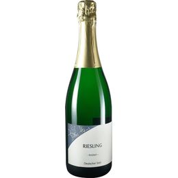 Weingut Dieter Heinz Riesling 2024 Trocken - Rheinhessen &ndash; Perl- & Schaumwein Sekt