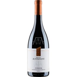 Tenuta Antonini Alessio Corium d'Abruzzo Montepulciano 2023 Trocken - Abruzzen &ndash; Rotwein DOC