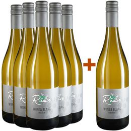 Wein- und Obsthof R&uuml;dlin 5+1 Paket WIINEA Blanc FundamenT Cuv&eacute;e 2023 Trocken - Baden &ndash; Probierpaket Badischer Landwein