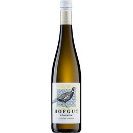 Hofgut G&ouml;nnheim Hofgut G&ouml;nnheim Riesling 2024 Trocken - Pfalz &ndash; Wei&szlig;wein Qualit&auml;tswein