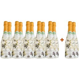 Alma Atl&aacute;ntica 10+2 Paket Espumoso Albari&ntilde;o - Galicien &ndash; Probierpaket Vino