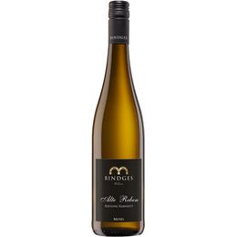 weingut bindges Alte Reben K&ouml;nigsberg Riesling 2024 Feinherb - Trabener Mosel &ndash; Wei&szlig;wein Kabinett