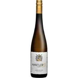 Weingut Mantler31 Gr&uuml;ner Veltliner 2024 Trocken - Ried Eisenhut Wagram &ndash; Wei&szlig;wein Qualit&auml;tswein