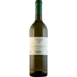Weingut Steffen Lahm Classic Grauburgunder 2024 Trocken - Rheinhessen &ndash; Wei&szlig;wein Qualit&auml;tswein