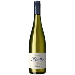 Weingut Stephan Barth Riesling 2024 Feinherb - Nahe &ndash; Wei&szlig;wein Qualit&auml;tswein