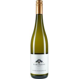 Weingut Hartmann Gelber Muskateller 2025 Feinherb - Rheinhessen &ndash; Wei&szlig;wein Deutscher Wein