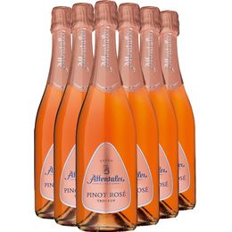 Affentaler Winzer Rosé Spätburgunder 2023 Trocken - Baden – Probierpaket Sekt b.A.