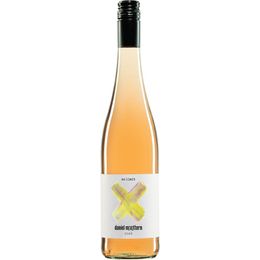 Weingut Daniel Mattern Ros&eacute; no limit Trocken - Rheinhessen &ndash; Sonstiges Entalkoholisierter Wein