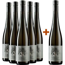 Andrea Schenter 5+1 Paket Reserve Gr&uuml;ner Veltliner 2019 Trocken - Kremstal DAC &ndash; Probierpaket Qualit&auml;tswein