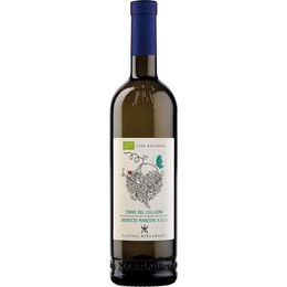 Cantina Sociale Bergamasca Incrocio Manzoni Terre del Colleoni Bianco 2023 Trocken - Lombardei &ndash; Wei&szlig;wein DOC
