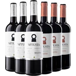 Bodegas Vetusta Aktionspaket Ribera del Duero DO Tempranillo Trocken - Kastilien und Le&oacute;n &ndash; Probierpaket DOP