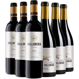 Bodegas Vallobera Kennenlern-Paket Rioja DOCa Tempranillo Trocken - Baskenland &ndash; Probierpaket DOP