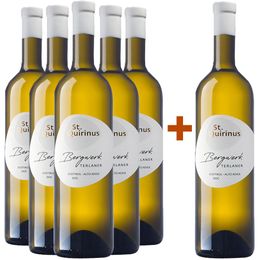 St. Quirinus 5+1 Paket Bergwerk Terlaner Classico Alto Adige Cuv&eacute;e 2023 Trocken - S&uuml;dtirol &ndash; Probierpaket DOC